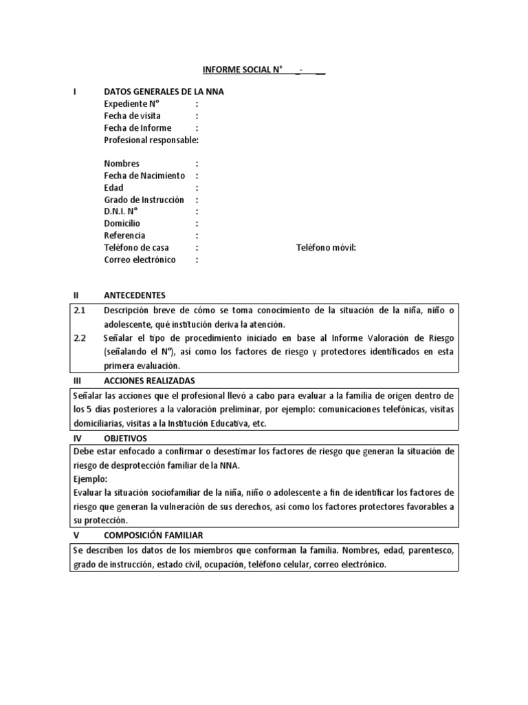 Modelo de Informe Social DEMUNA | PDF | Adolescencia | Familia