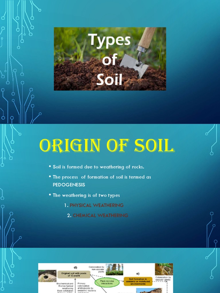 Types of Soil | PDF | Soil | Decomposition