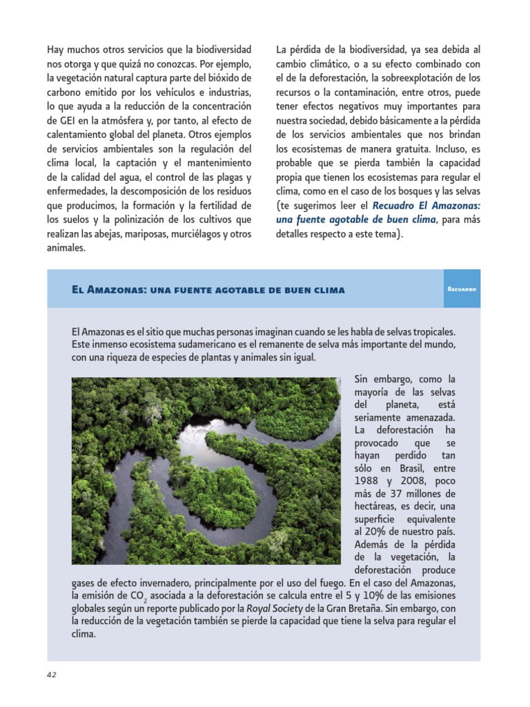 El Amazonas Una Fuente Agotable de Buen Clima | PDF | Entorno natural ...