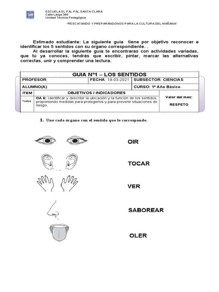 1° Año - CIENCIAS - LOS SENTIDOS | PDF