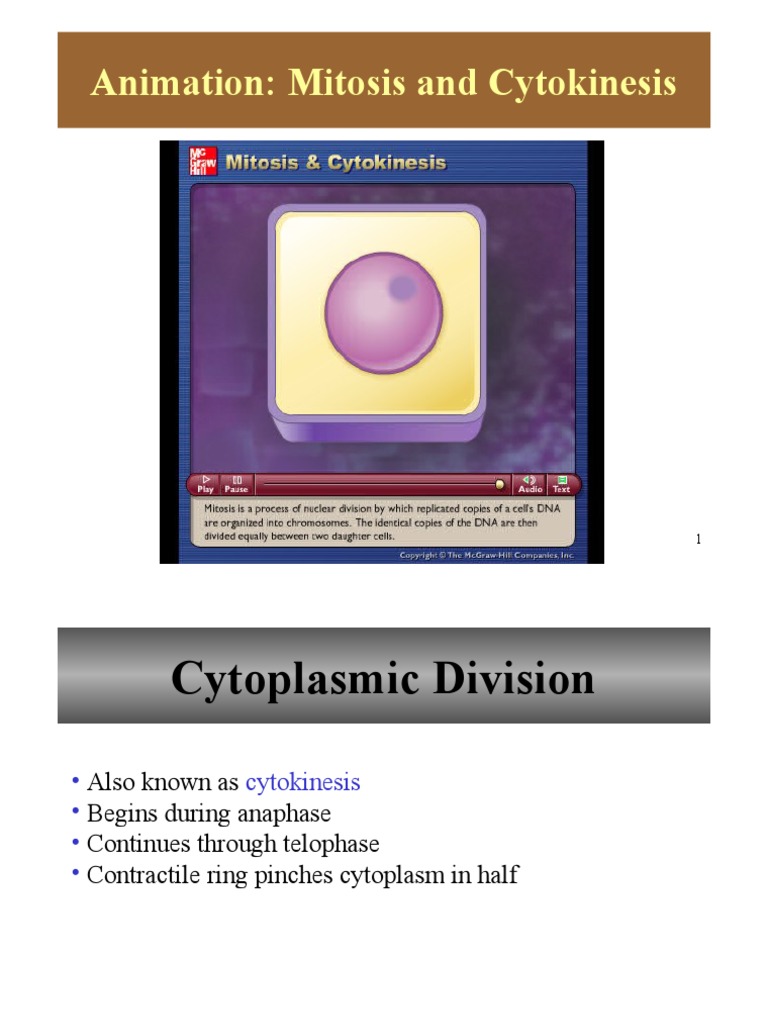 Animation: Mitosis and Cytokinesis | PDF | Mitosis | Cell Growth