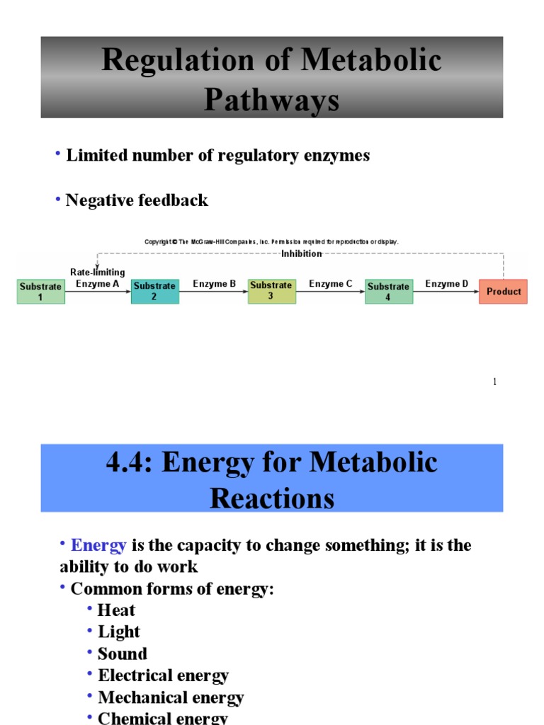 Regulation of Metabolic Pathways: Limited Number of Regulatory Enzymes ...