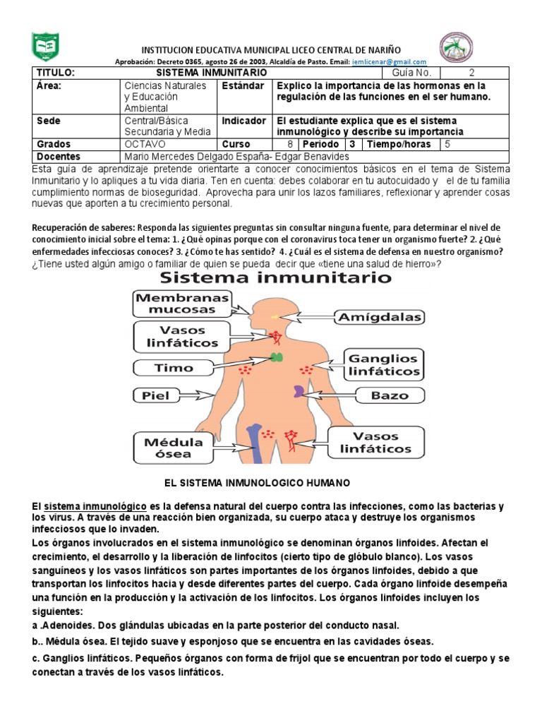 Guia # 2 SISTEMA INMUNITARIO GRADO OCTAVO 3 PERIODO | PDF | Sistema inmune | Sistema linfático