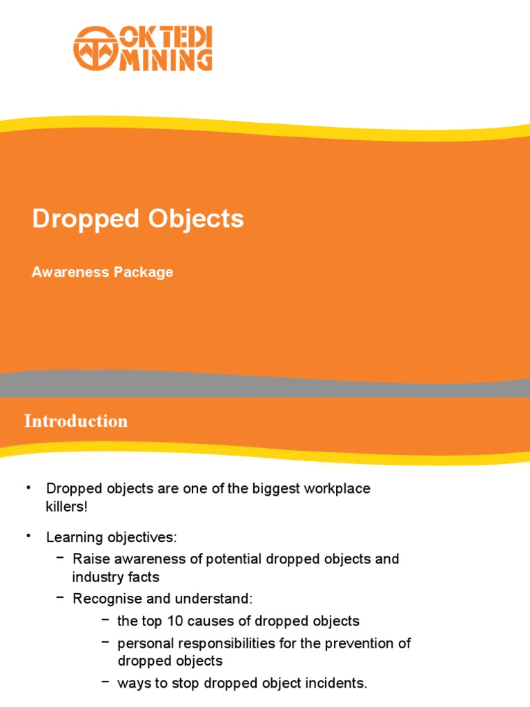 Dropped Objects Safety Awareness Guide | PDF | Personal Protective ...