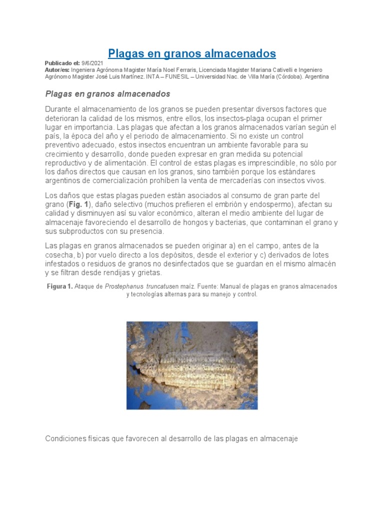 Plagas en Granos Almacenados - 2 | PDF | Plaga (organismo) | Pesticida