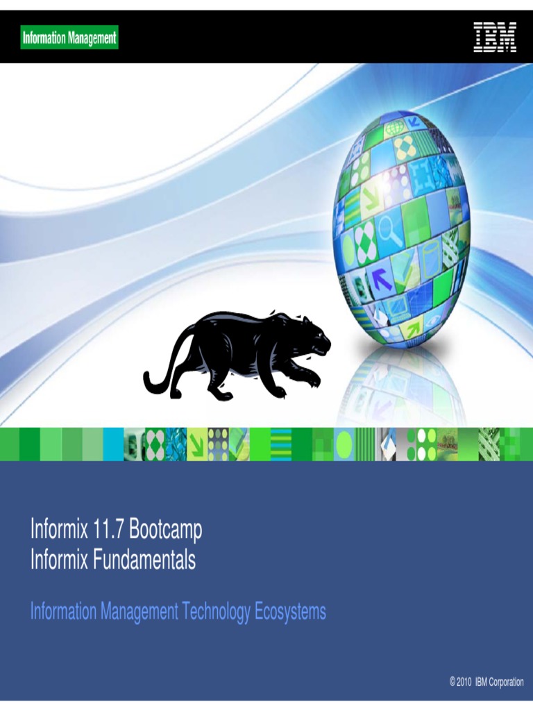 1.1 Informix Fundamentals | PDF | Databases | Cache (Computing) 1.1 Informix Fundamentals | PDF | Databases | Cache (Computing)