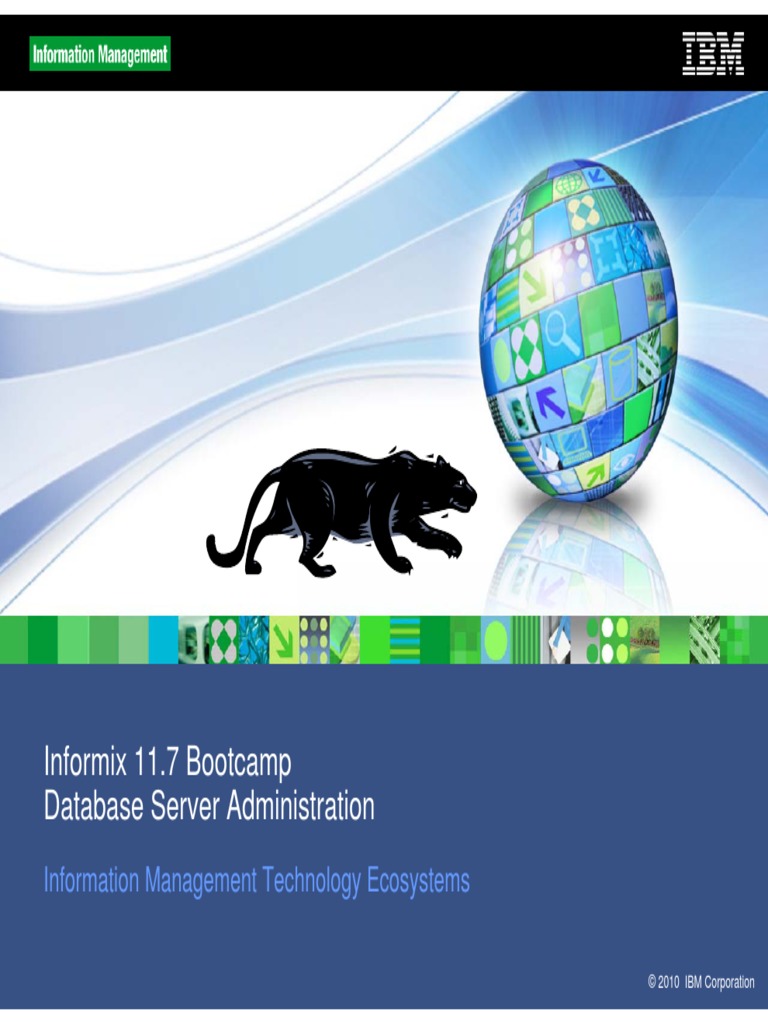 1.2 Informix Database Administration | PDF | Databases | Backup