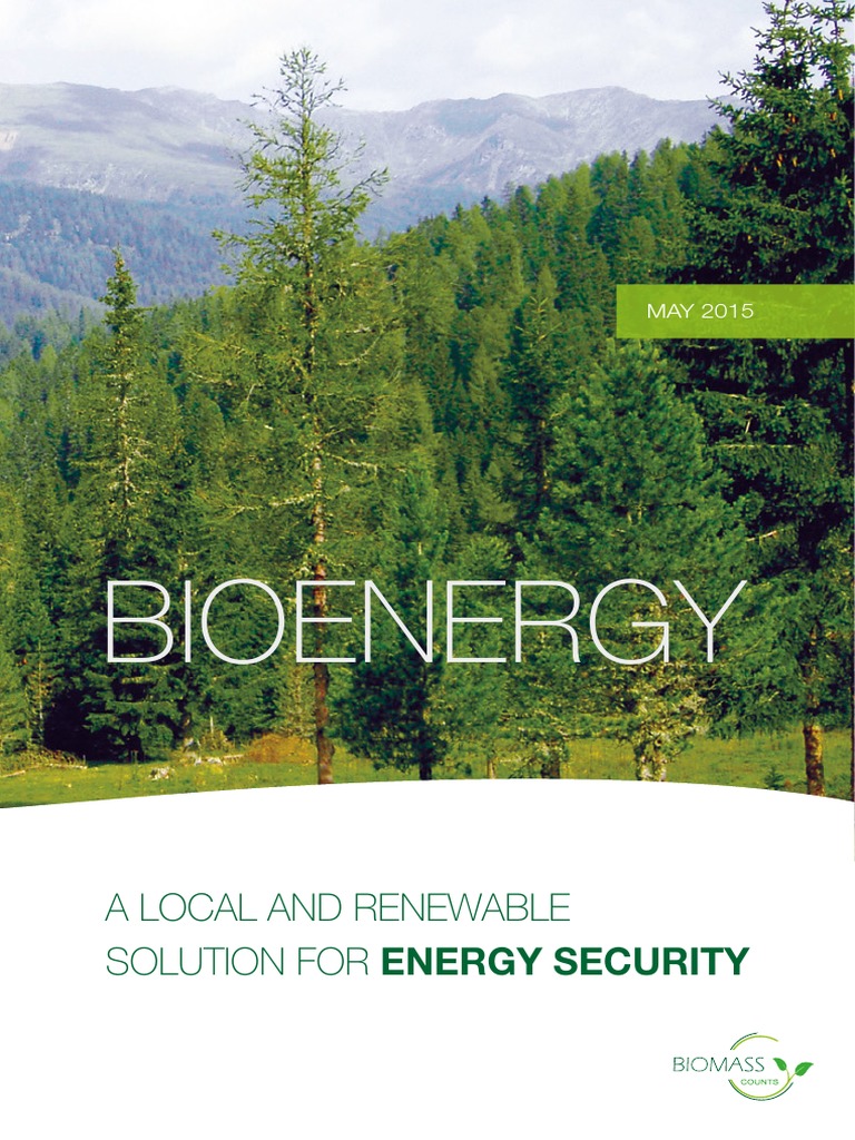 Bioenergy: A Local and Renewable Solution For | PDF | Biomass ...