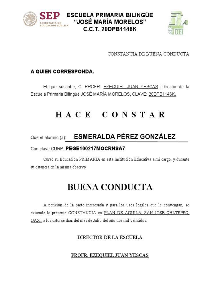 Constancia de Buena Conducta | PDF | Educación primaria | Etapas educativas
