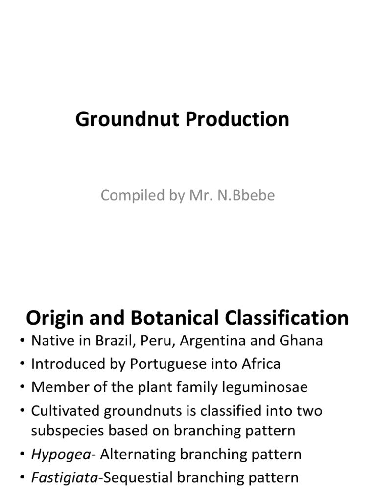 Groundnut Production | PDF | Peanuts | Soil