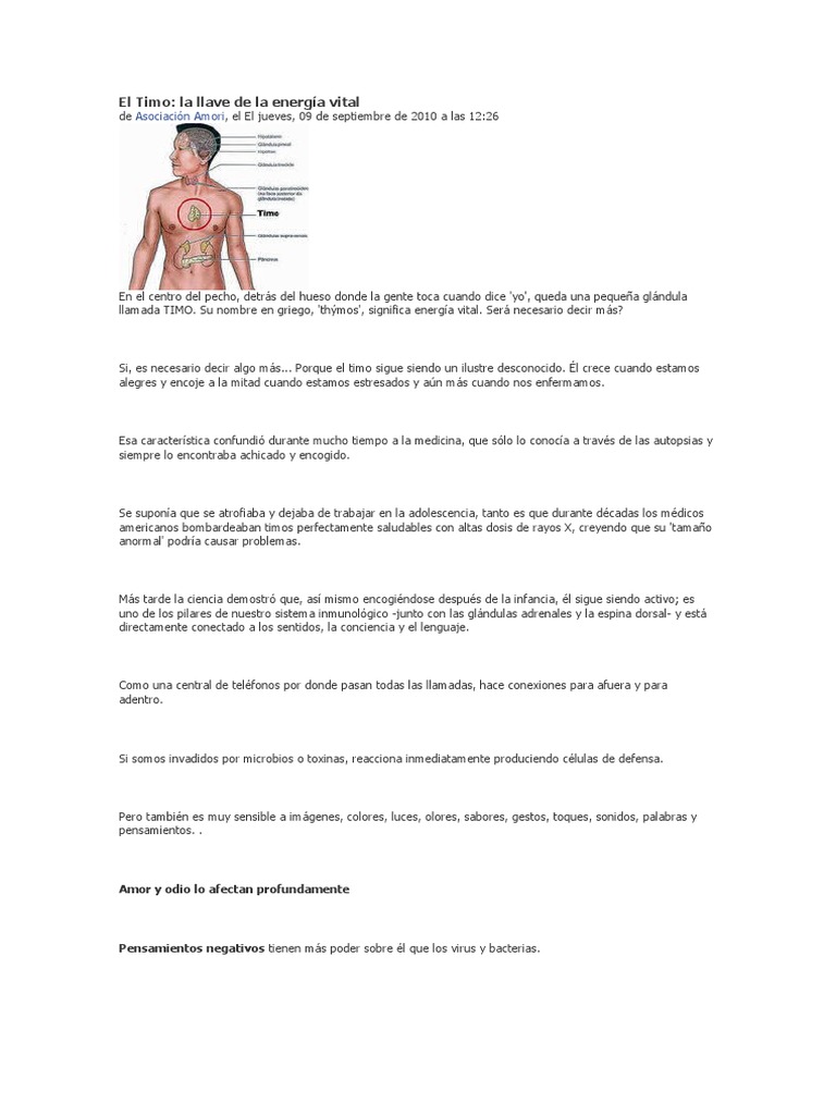 El Timo | PDF | Sistema inmune | Diagnostico medico
