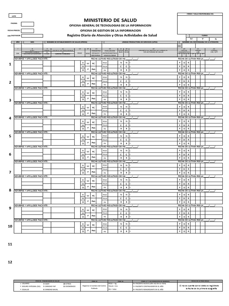 Formato HIS para 2020 - Lado A | PDF | Ciencias de la Salud | Medicina