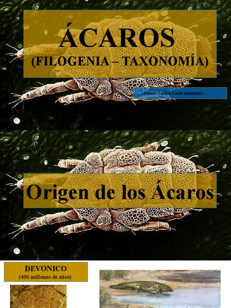 ÁCAROS | PDF | Taxa | Biología