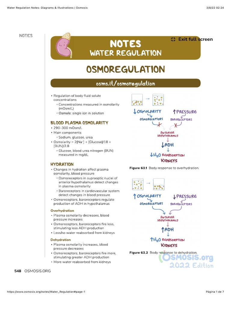 Water Regulation Notes Diagrams Illustrations Osmosis Pdf