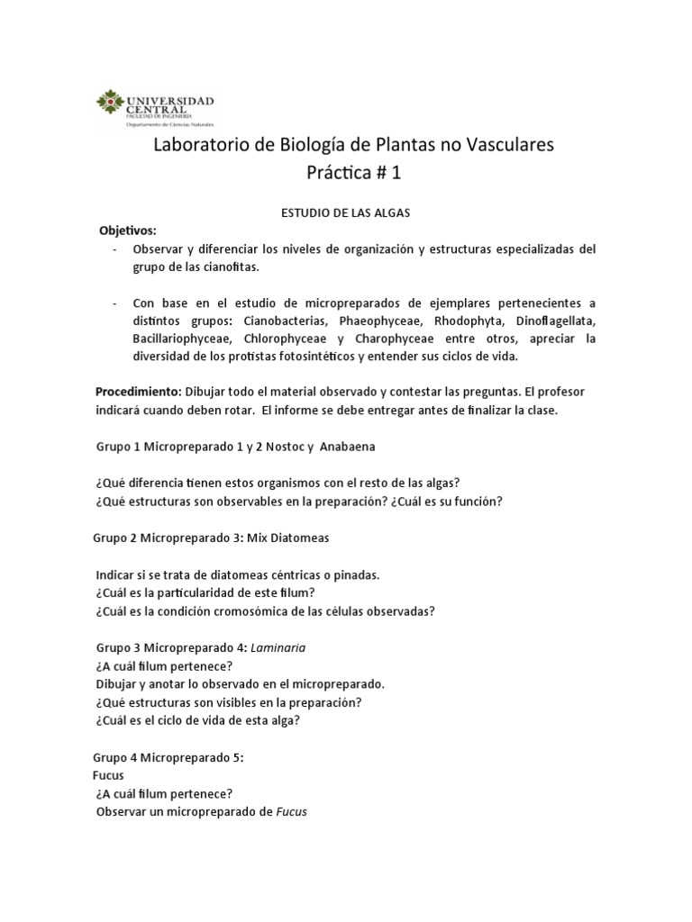 Práctica 1. Algas1 | PDF | Algas | Eucariotas