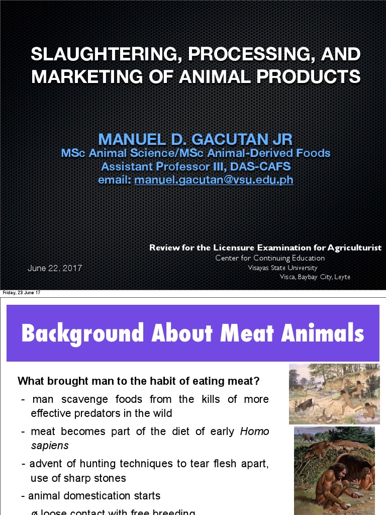 Lea Slaughter & Process Mdgacutan JR Vsu 2017 | PDF | Skeletal Muscle ...