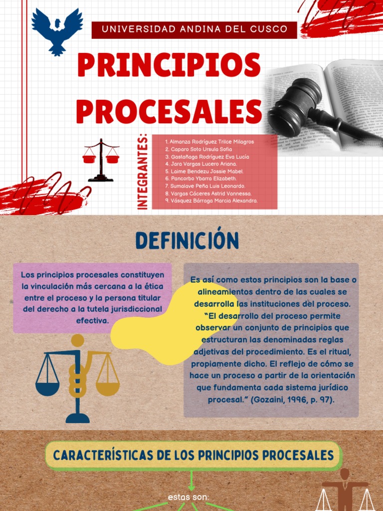Principios Procesales Diapositivas | PDF | Ley procesal | Juez