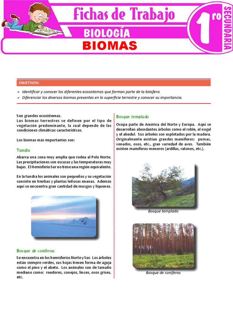 Hoja De Trabajo Sobre La Tundra Tundra | PDF | Ciencias De La Tierra