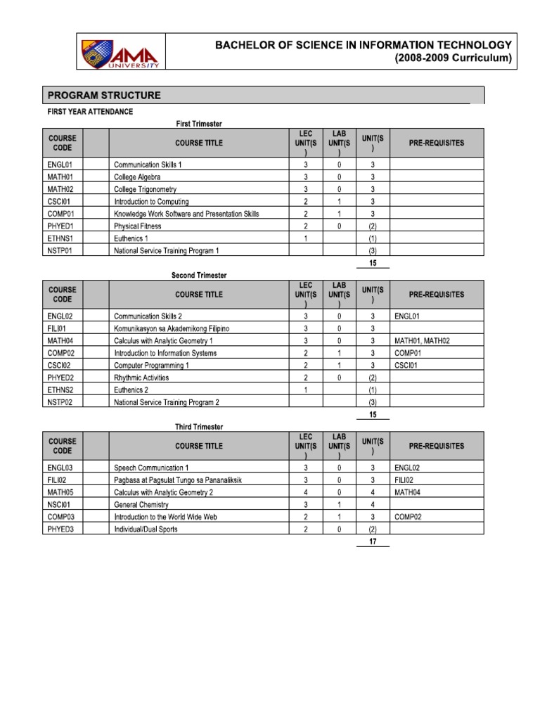 BSIT 2008-2009 Curriculum | PDF