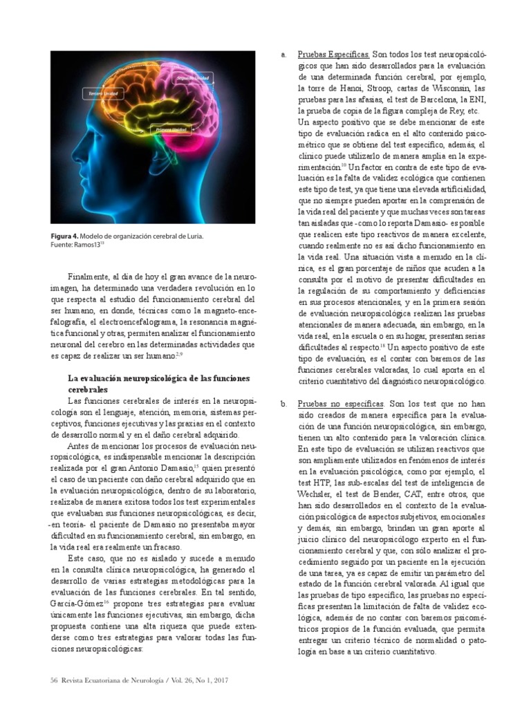 Conceptos Fundamentales Teoría Neuropsicológica. Fundamental Concepts ...