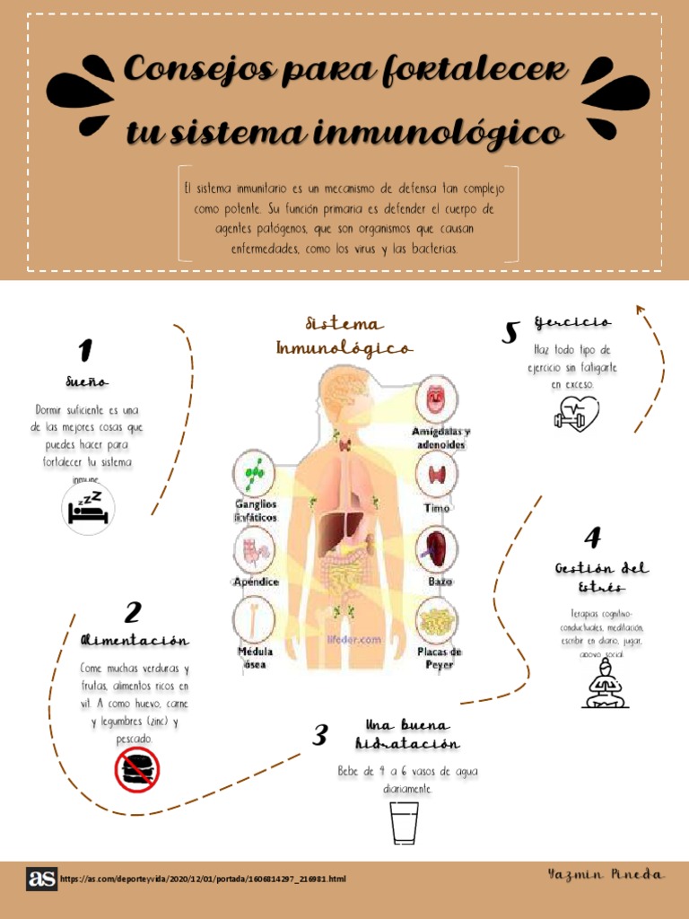 Consejos para Fortalecer Tu Sistema Inmunológico-Infografia | Descargar gratis PDF | Sistema ...