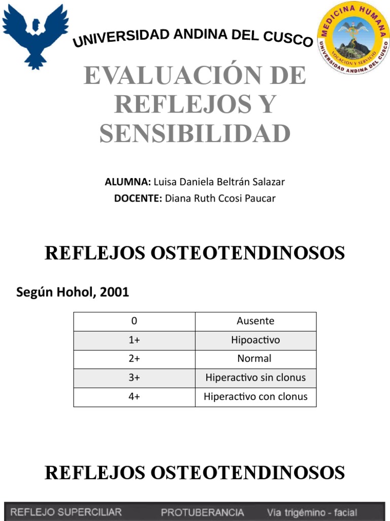 Evaluación de reflejos osteotendinosos y sensibilidad en la alumna ...