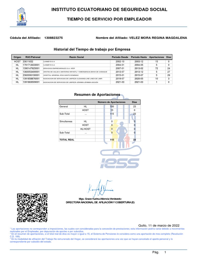 Historial Laboral Iess | PDF | Economias | Gobierno