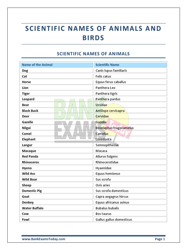 Scientific Names of Animals and Birds | PDF | Organisms | Mammals