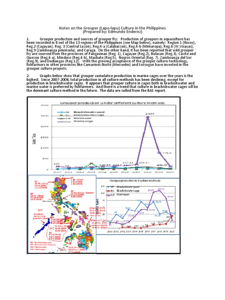 Grouper Culture Practices in the Philippines | PDF | Fish | Philippines