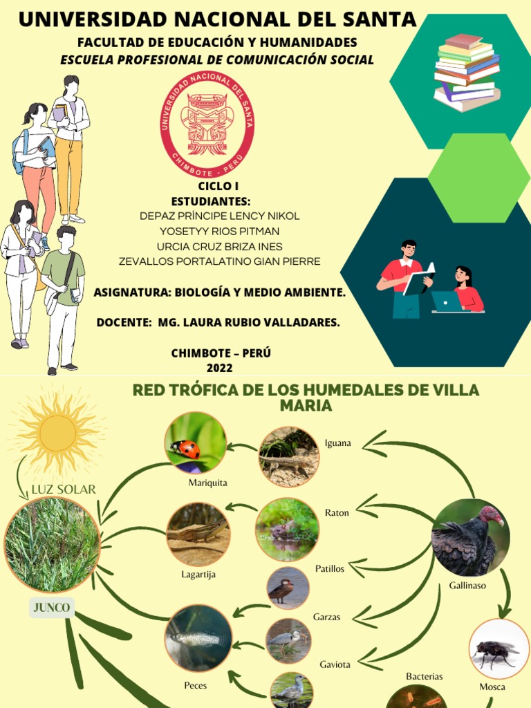 Sp14 Lency Depaz | PDF