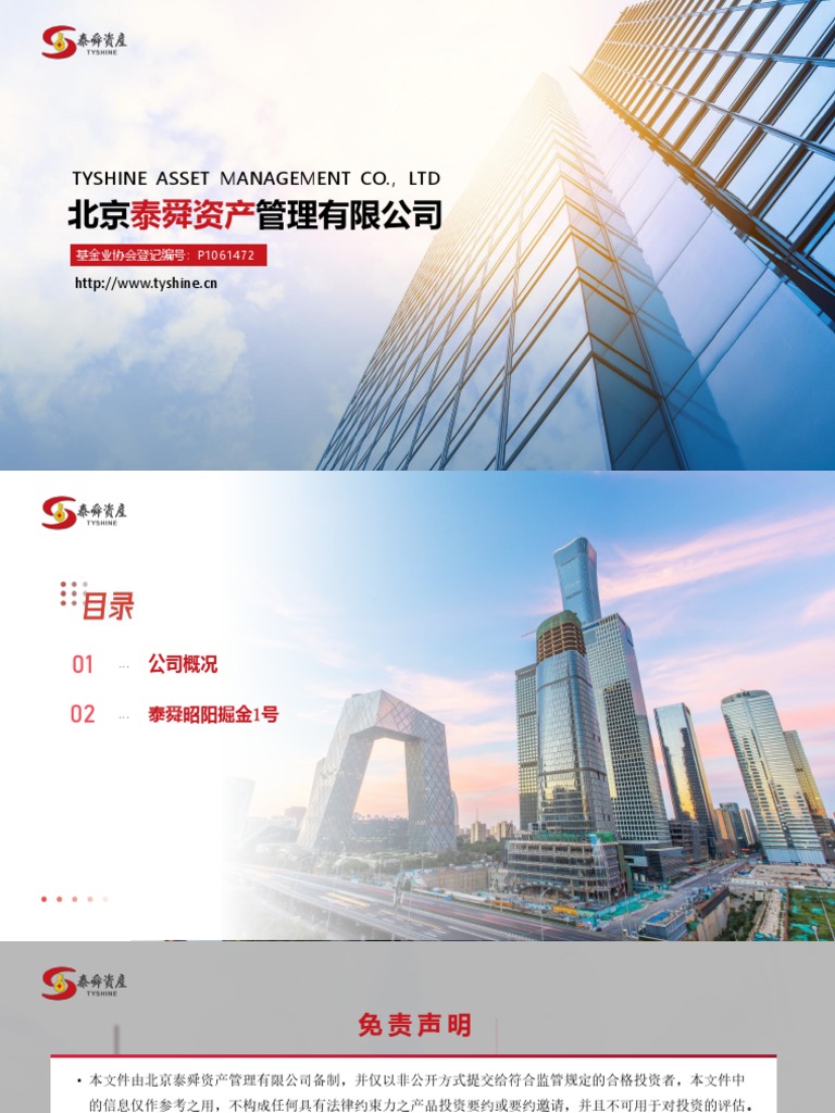 Tyshine Asset Management Co. LTD | PDF