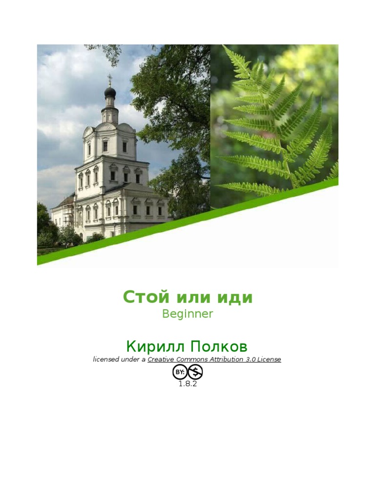 Russian Language Learning Guide | PDF