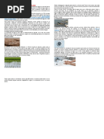 TUTORIAL WRPLOT View - SIMC | PDF | Hidrología | Hidrografía