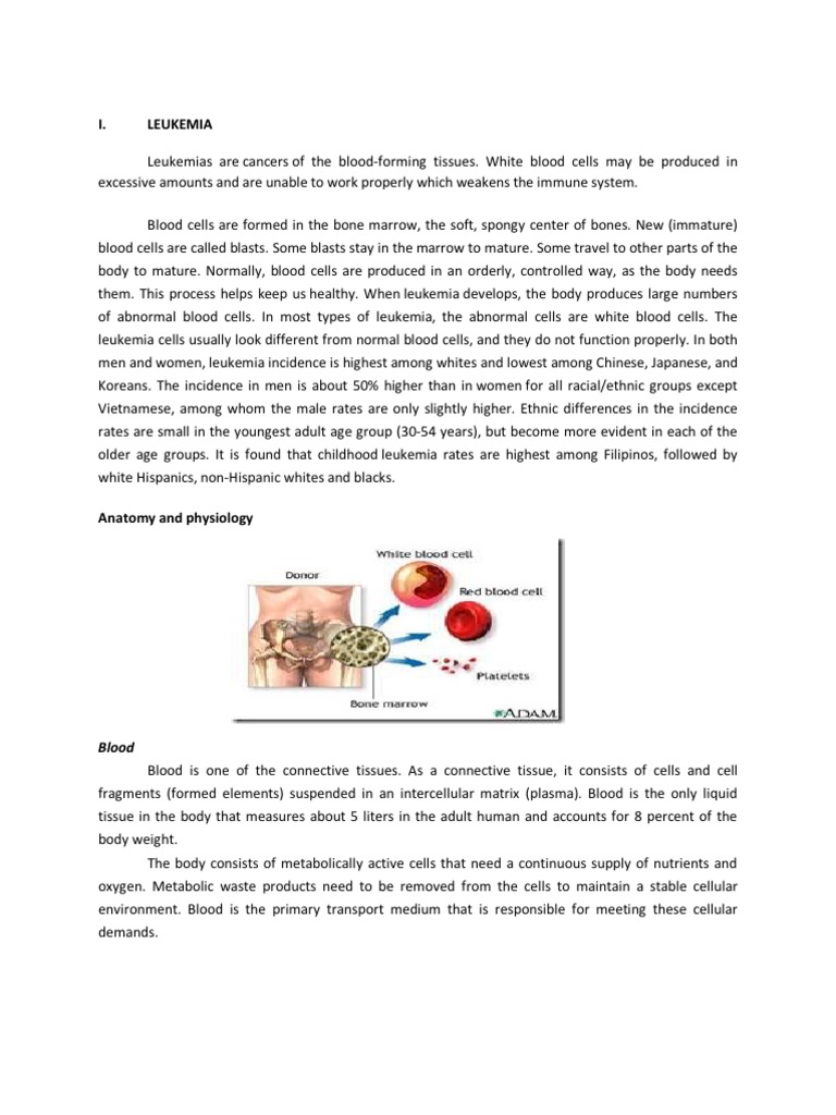 Case Study - Leukemia | PDF | Leukemia | Granulocyte