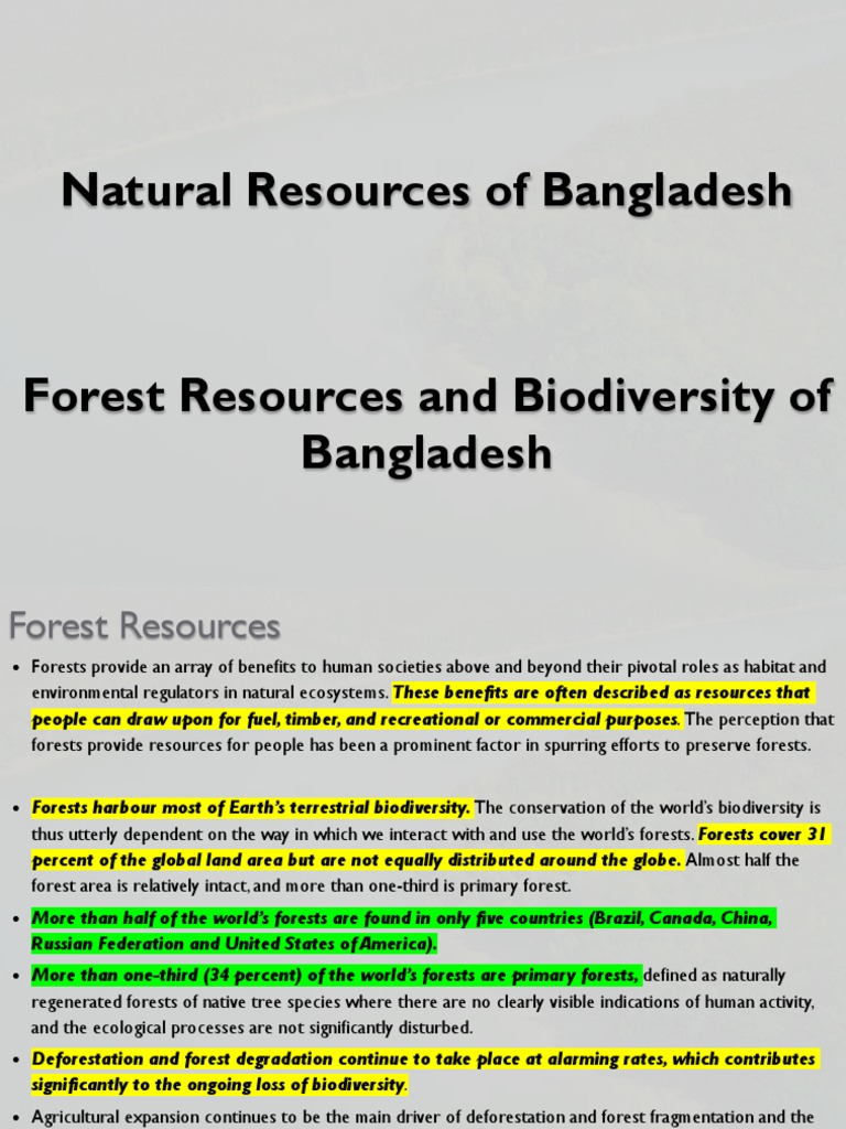 Lecture - 11 - Forest Resources of Bangladesh | PDF | Forests | Forestry