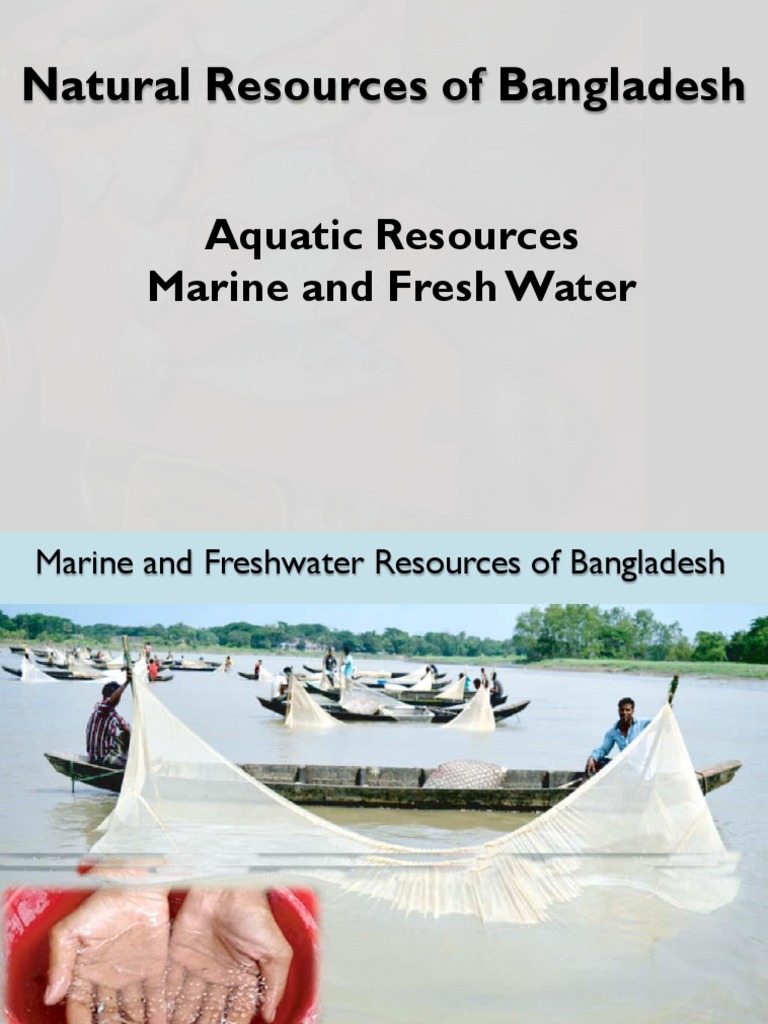 Lecture - 10 - Marine and Fresh Water Resources of Bangladesh | PDF ...