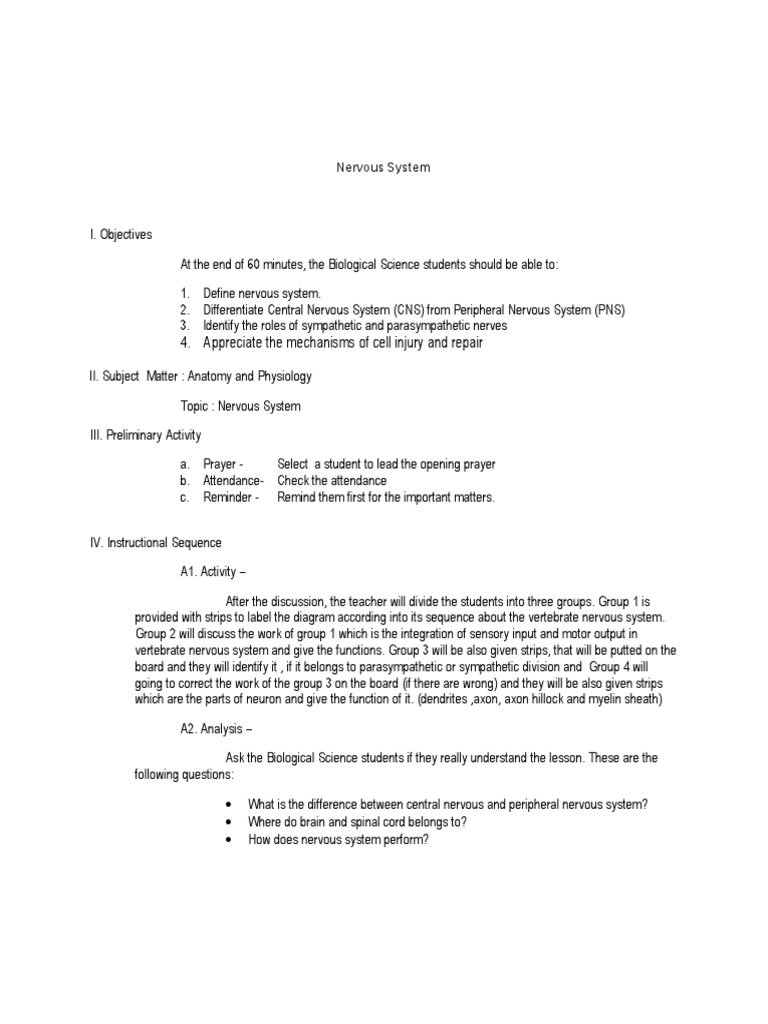Nervous System - Docx Lesson Plan | PDF | Nervous System | Axon