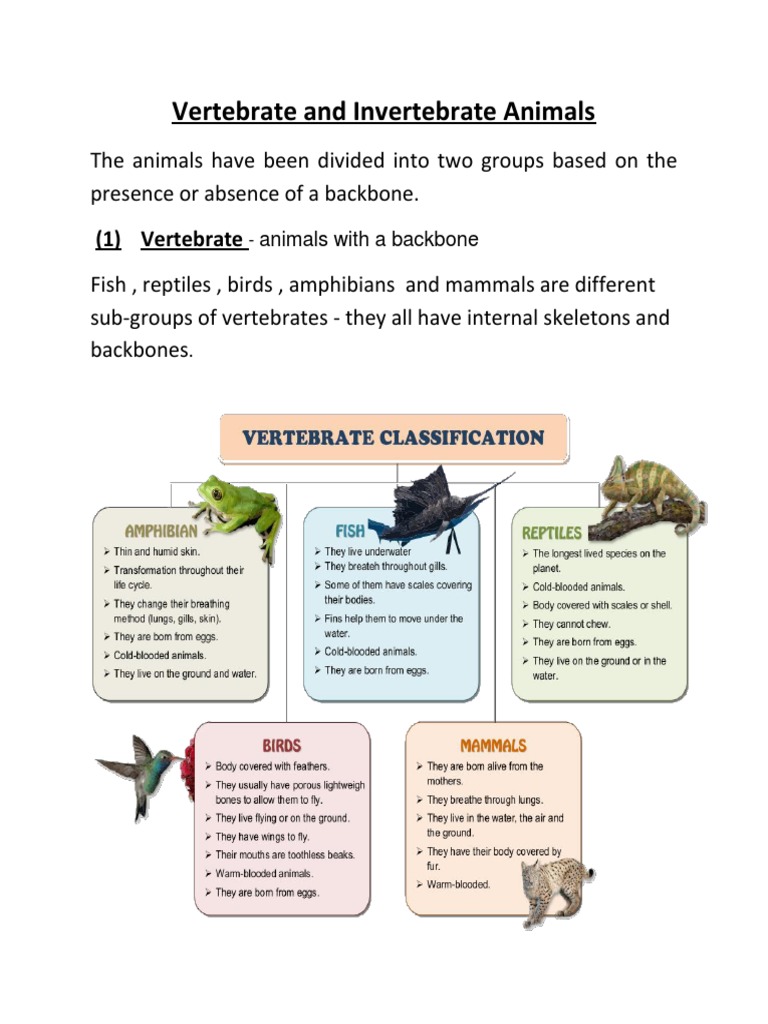 Vertebrate and Invertebrate Animals | PDF