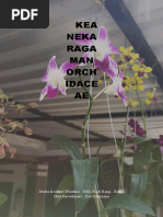 Anggrek Mekar Pontianak | PDF