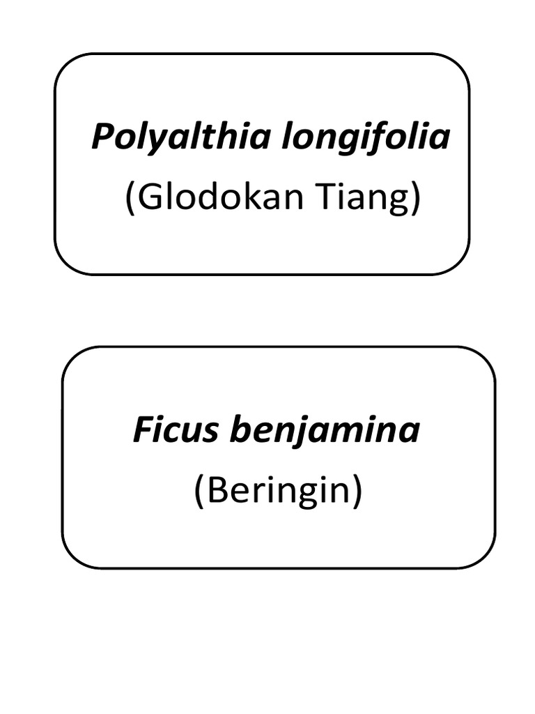 Nama Latin Tumbuhan | PDF
