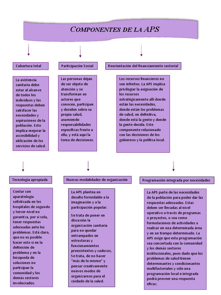 Componentes Clave de la APS en Salud | PDF | Hospital