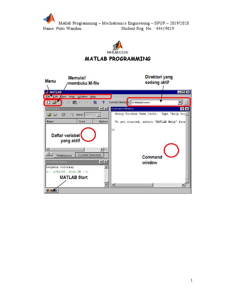 Task01_Matlab_2020 - Putri Wandini | PDF | Matlab | Algebra