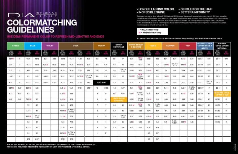 DIA Colormatching Guidelines | PDF | Artistic Techniques | Image Processing