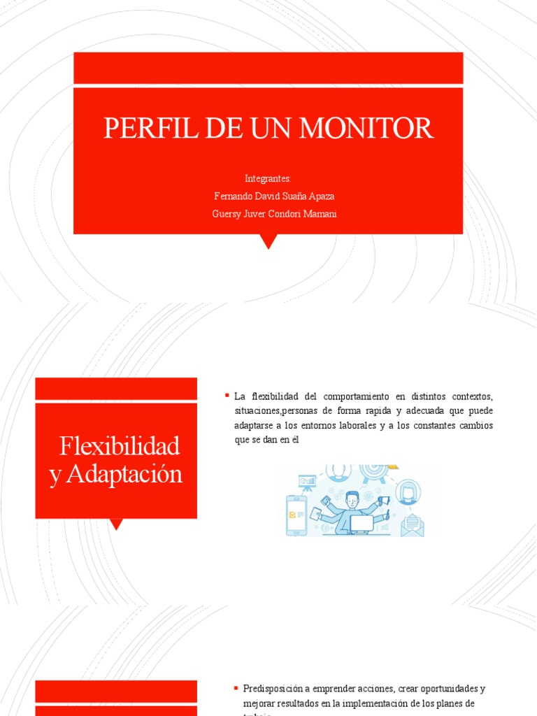 Perfil de Un Monitor | PDF