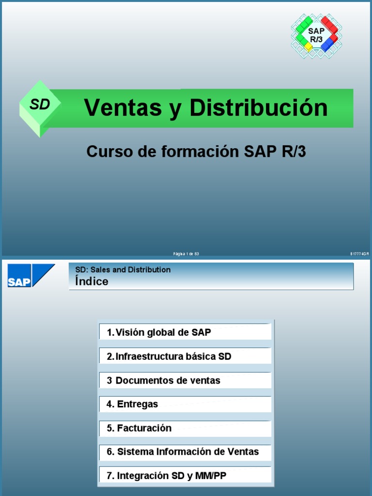 SD For Dummies | PDF | Logística | Contabilidad
