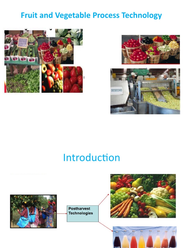 Fruit and Vegetable Process Tecnology Chapter 3 | PDF | Fruit Preserves ...