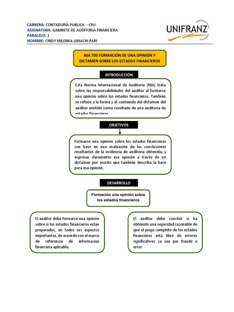 Nia 700 Mapa Conceptual | PDF | Auditoría | Contralor