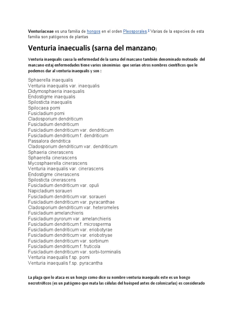 Venturia Inaecualis | PDF | Hoja | Patata