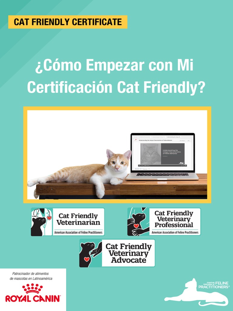 Guía para Certificación Cat Friendly | PDF | Crecimiento personal y ...