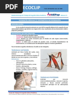Protocolo FAST y líquido abdominal | PDF | Ultrasonido médico | Pelvis